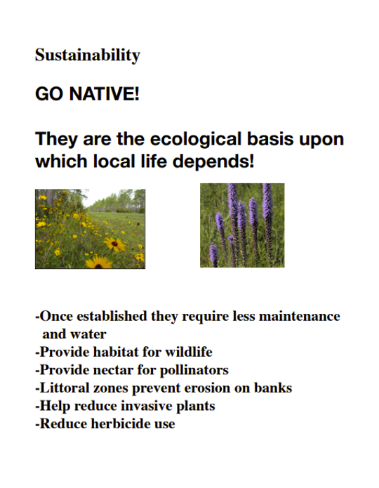 Go Native – VillageWalk Garden Club of Bonita Springs